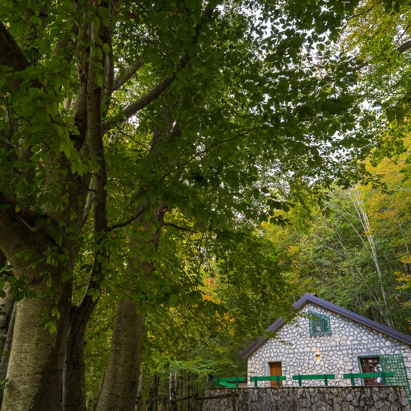 Campitelli mountain hut: your base for exploring the Abruzzo National Park
